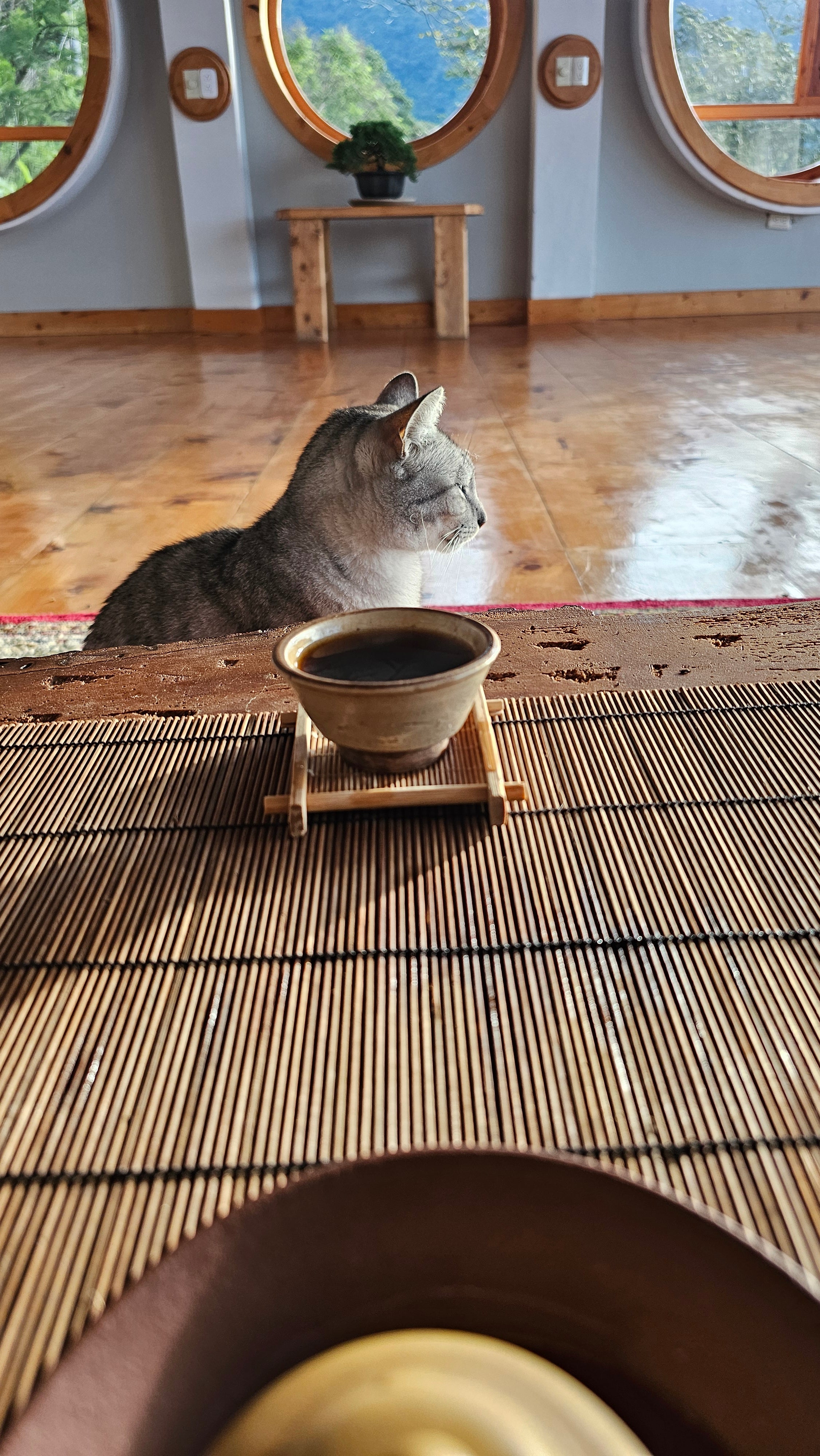 Mountain Sanctuary Tea Temple – Puerh Medicine